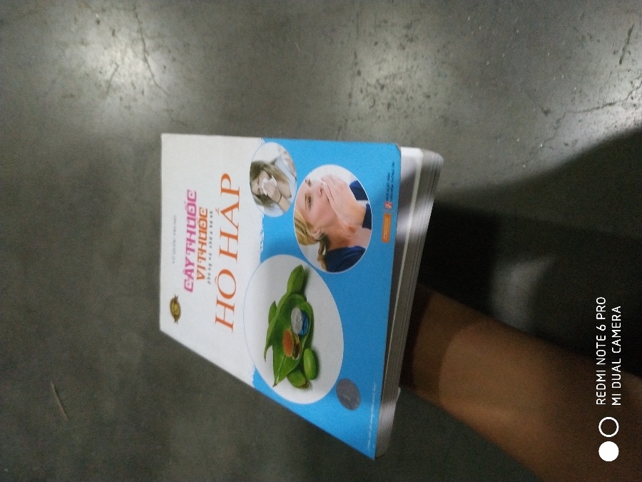 Sách [Phiên chợ sách cũ] Bệnh Hô Hấp - Cây Thuốc Vị Thuốc Phòng Và ...