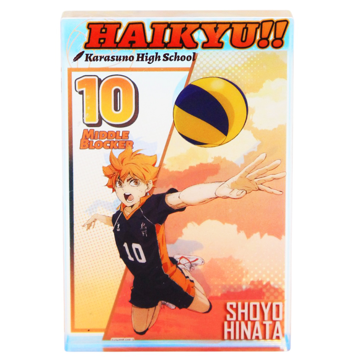 Tấm Trang Trí Haikyuu - Square Brick - Nullset - ToTy NK07 - Shoyo ...