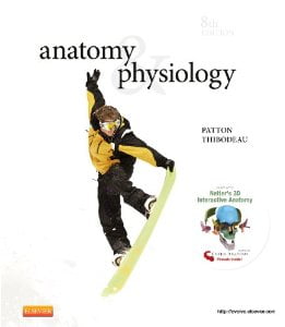 Anatomy & Physiology (Binder-Ready Version): 8ed - FAHASA.COM