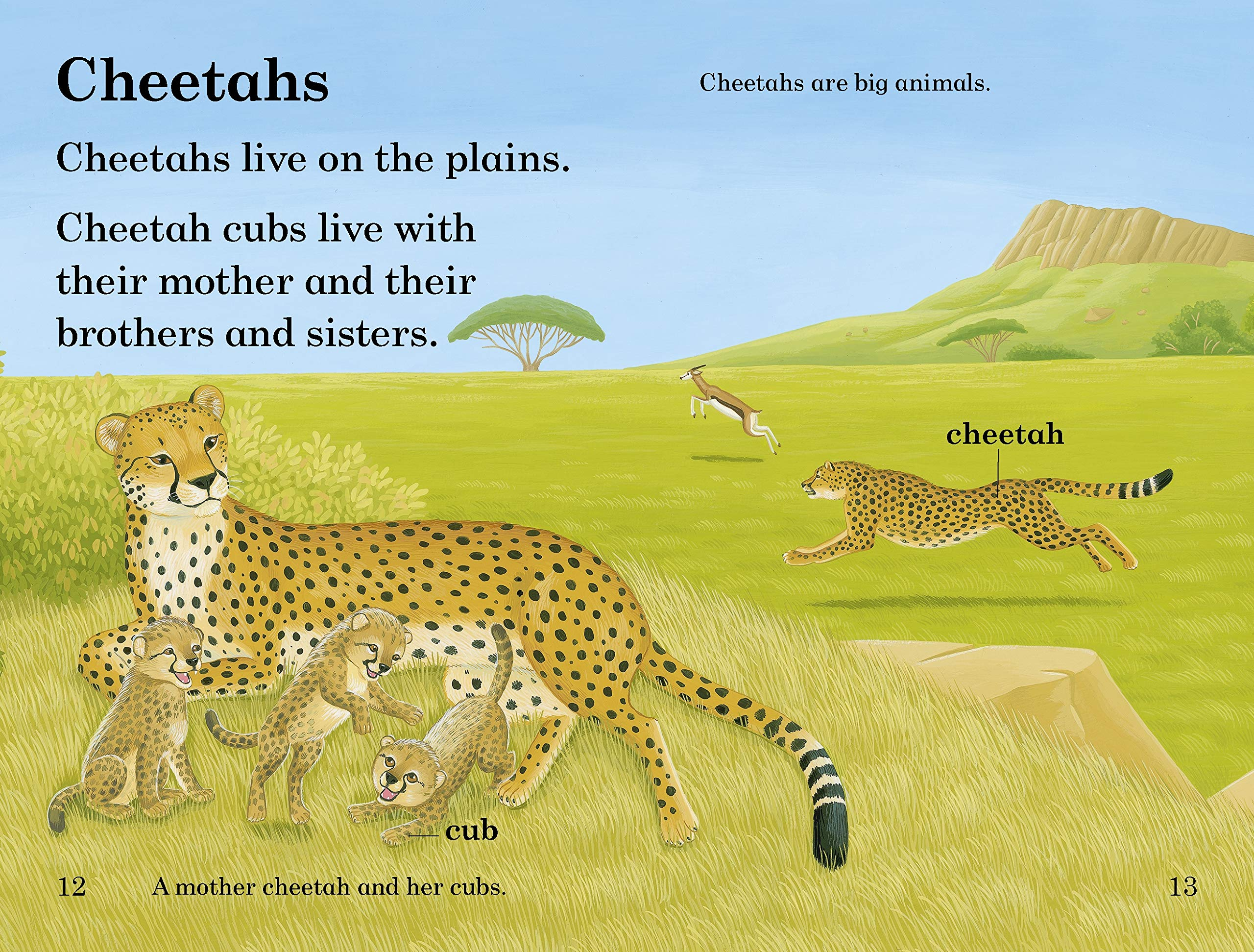 Read It Yourself With Ladybird Level 2: Wild Animals - FAHASA.COM