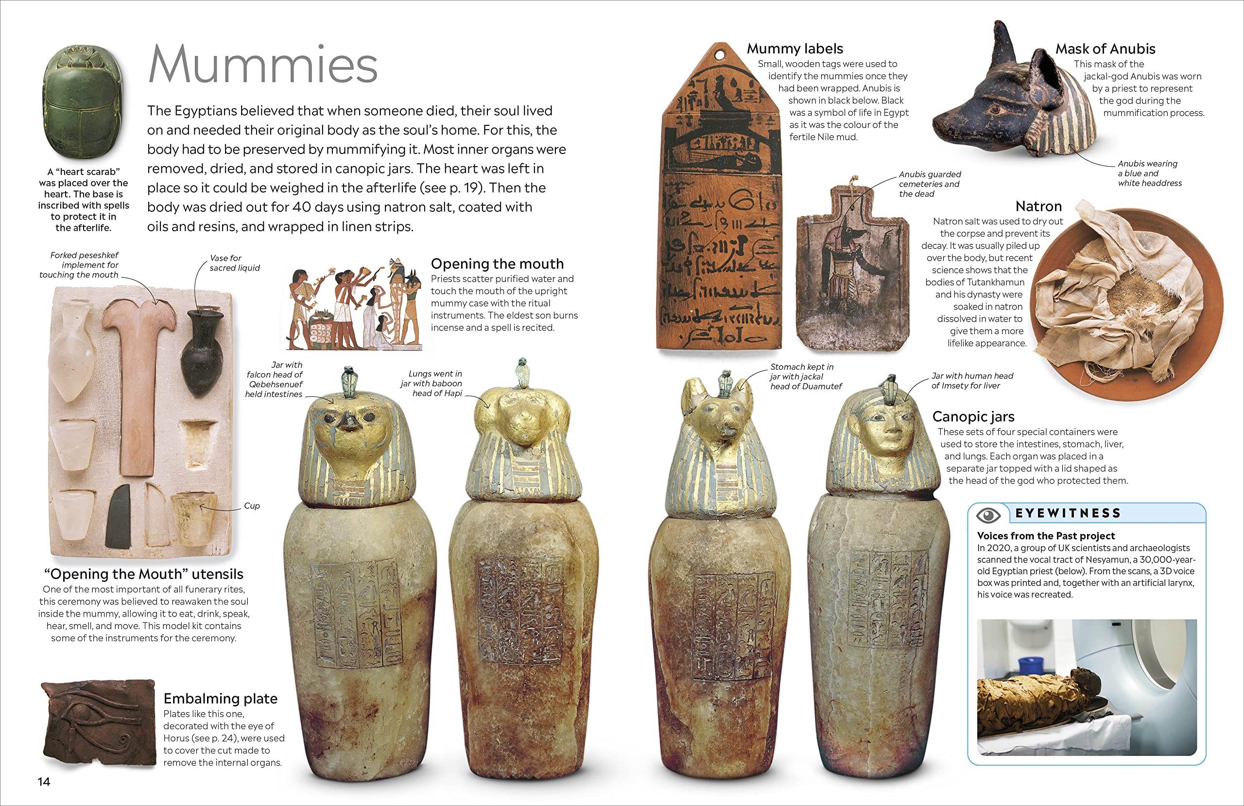 DK Eyewitness: Ancient Egypt - FAHASA.COM