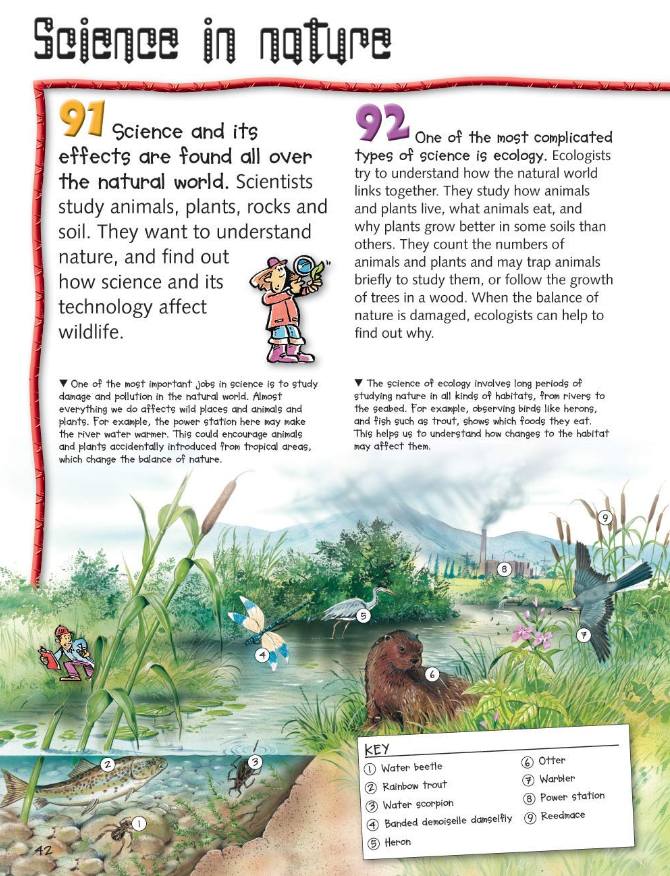 Science (100 Facts Pocket Edition) - FAHASA.COM