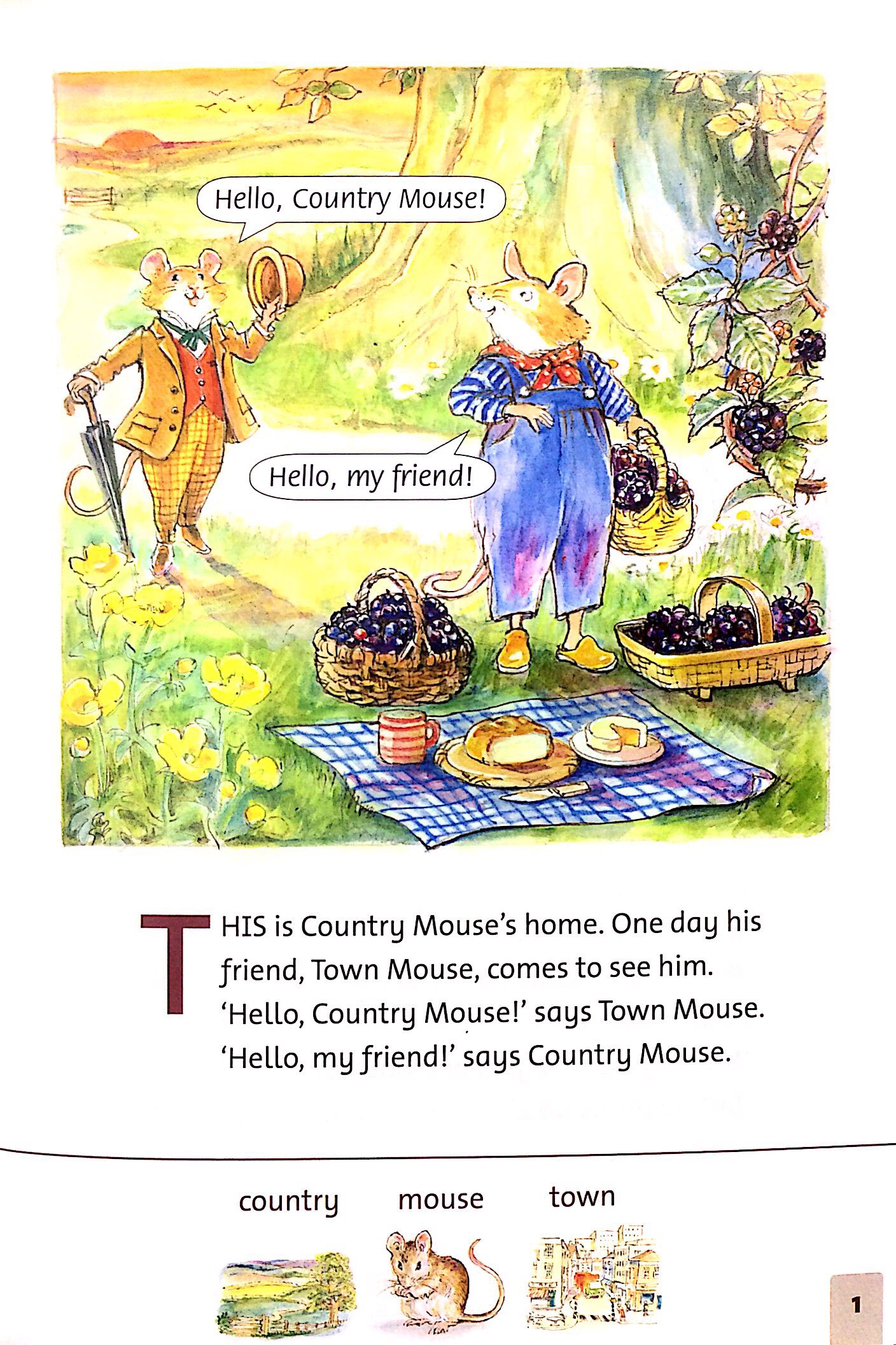 Family And Friends Readers 2: The Town Mouse And The Country Mouse ...