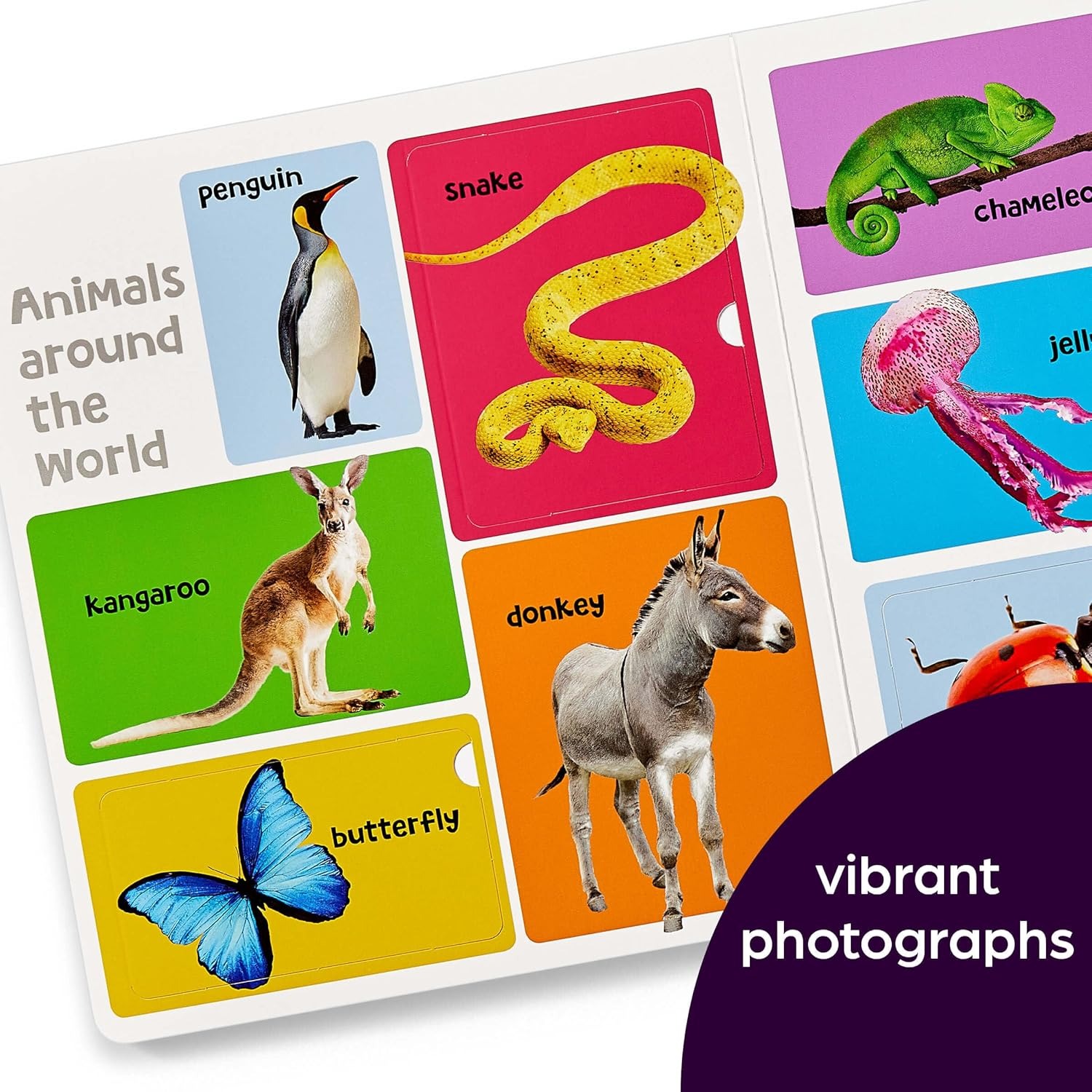 First 101 Animal Words - FAHASA.COM