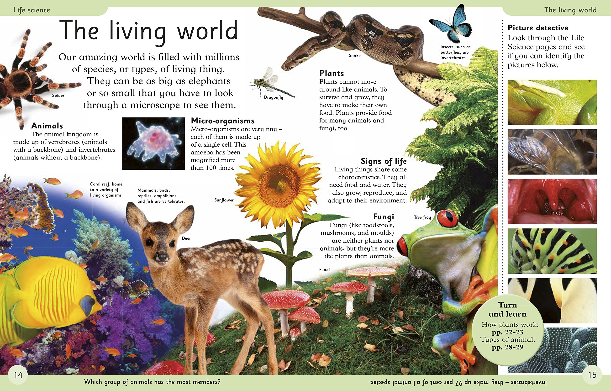 First Science Encyclopedia: A First Reference Book For Children (DK ...