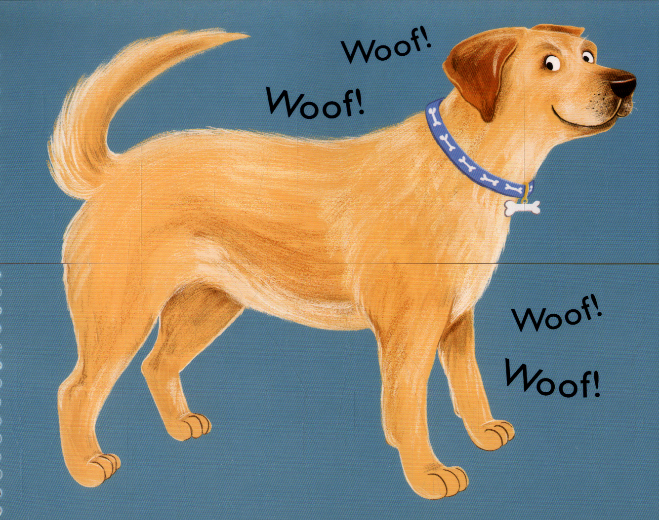 FLIP FLAP DOGS - FAHASA.COM