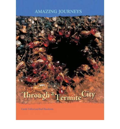 Through a Termite City - FAHASA.COM