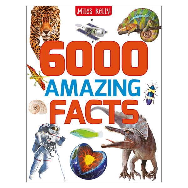 [Phiên chợ sách cũ] B384 6000 AMAZING FACTS - FAHASA.COM