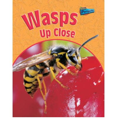 Wasps Up Close - FAHASA.COM