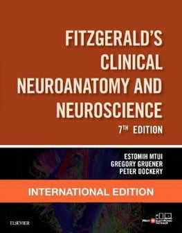 Fitzgerald's Clinical Neuroanatomy and Neuroscience - FAHASA.COM