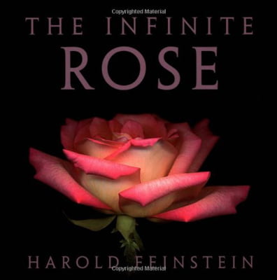 The Infinite Rose - FAHASA.COM