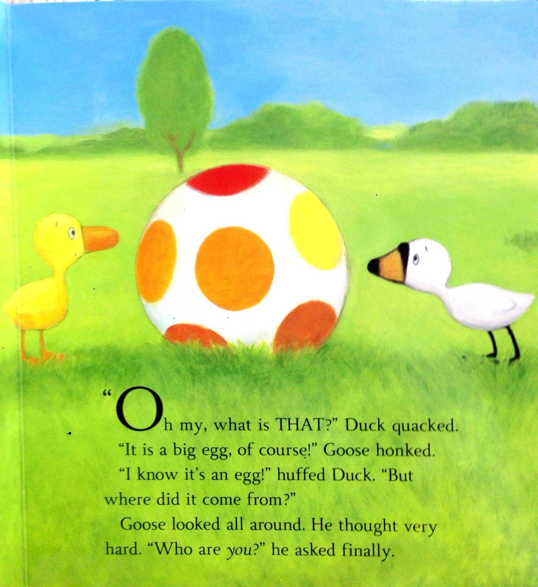 Duck & Goose Board book - FAHASA.COM