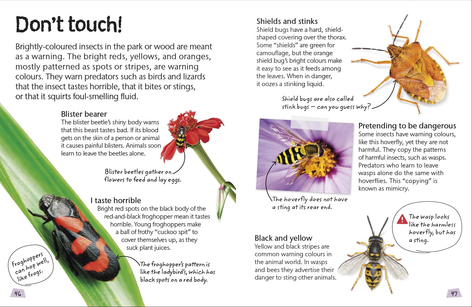 Insects and Spiders: Explore Nature with Fun Facts and Activities ...