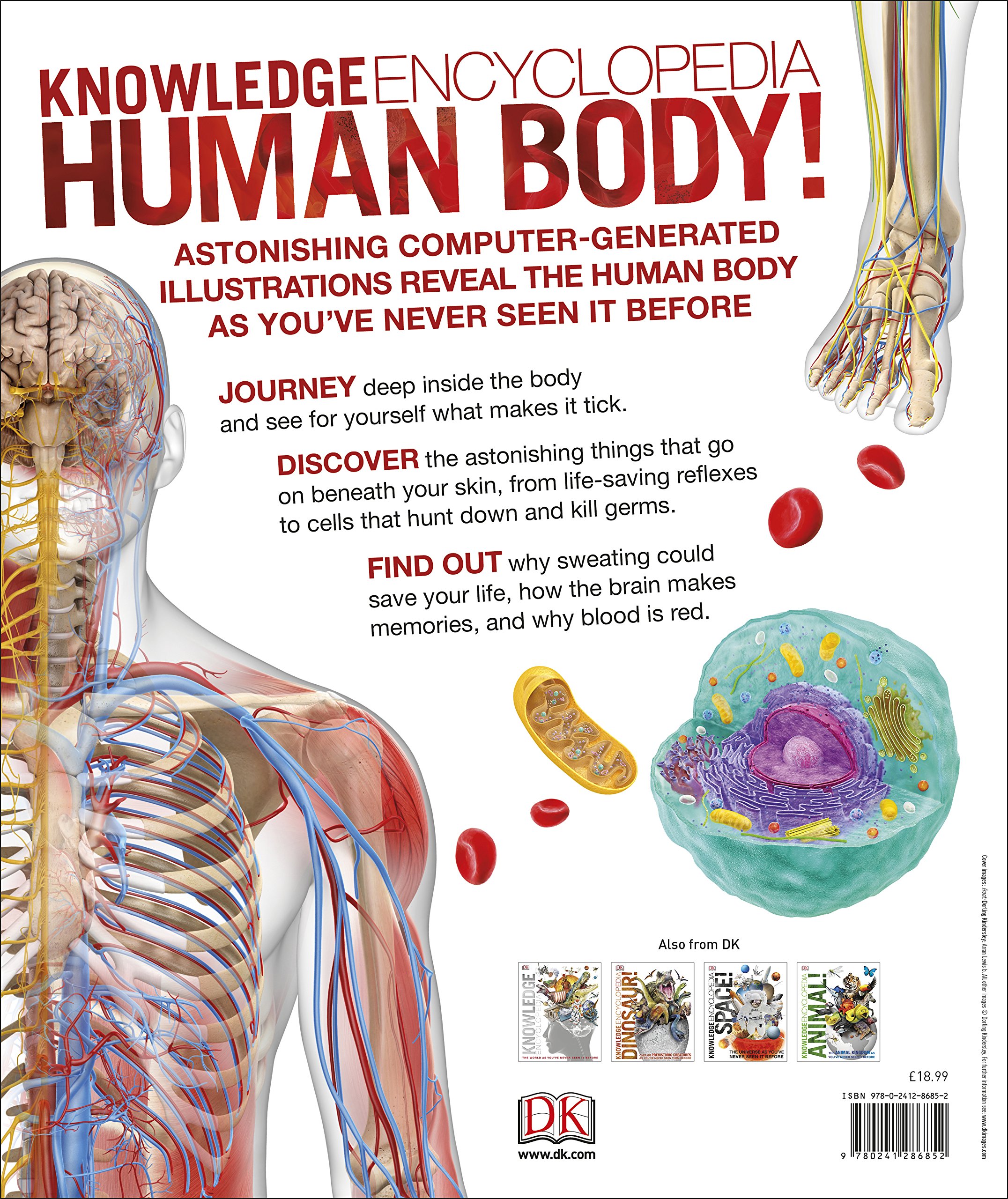 Knowledge Encyclopedia Human Body! - FAHASA.COM