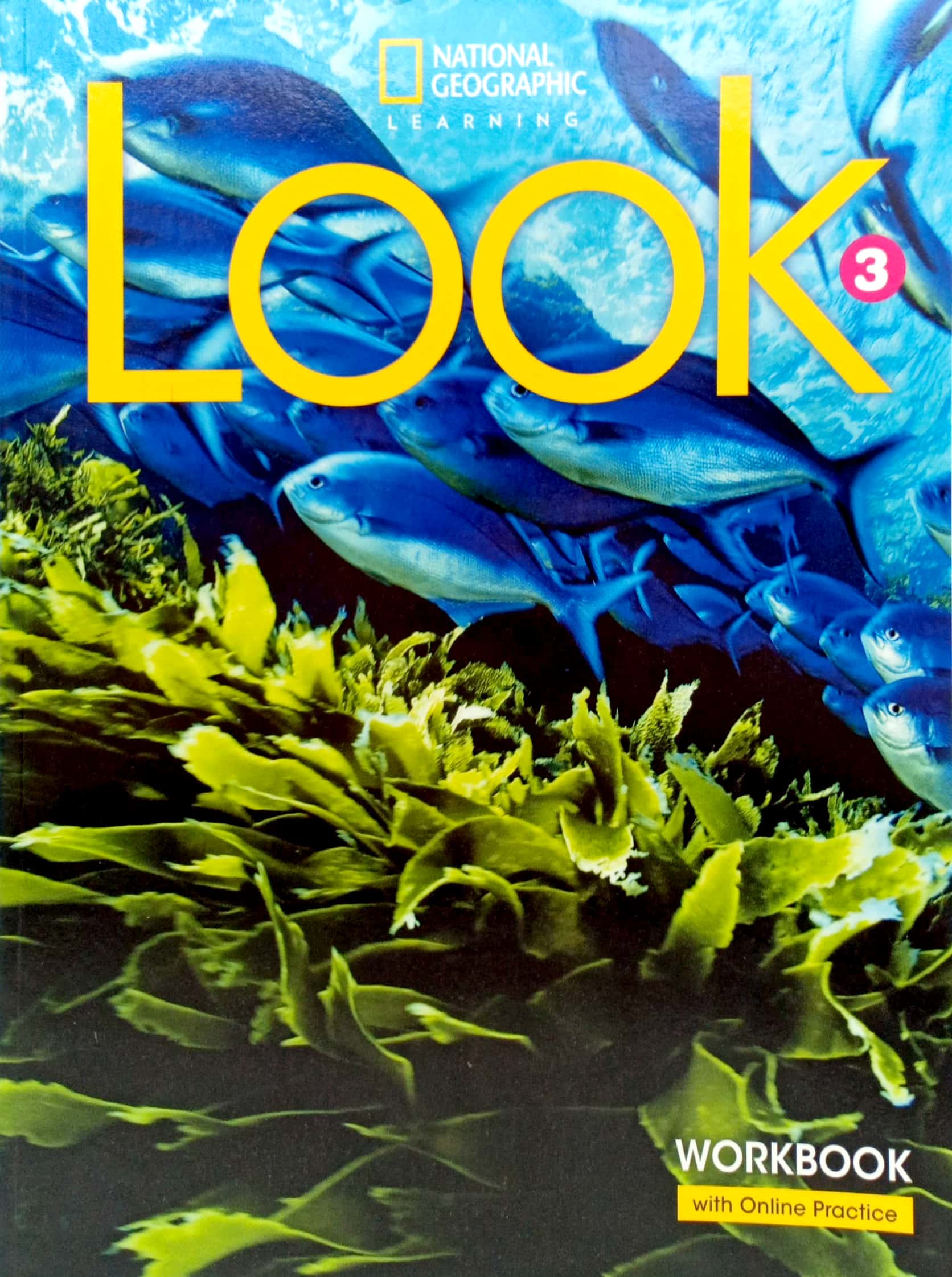 Look 3: Workbook With Online Practice - FAHASA.COM