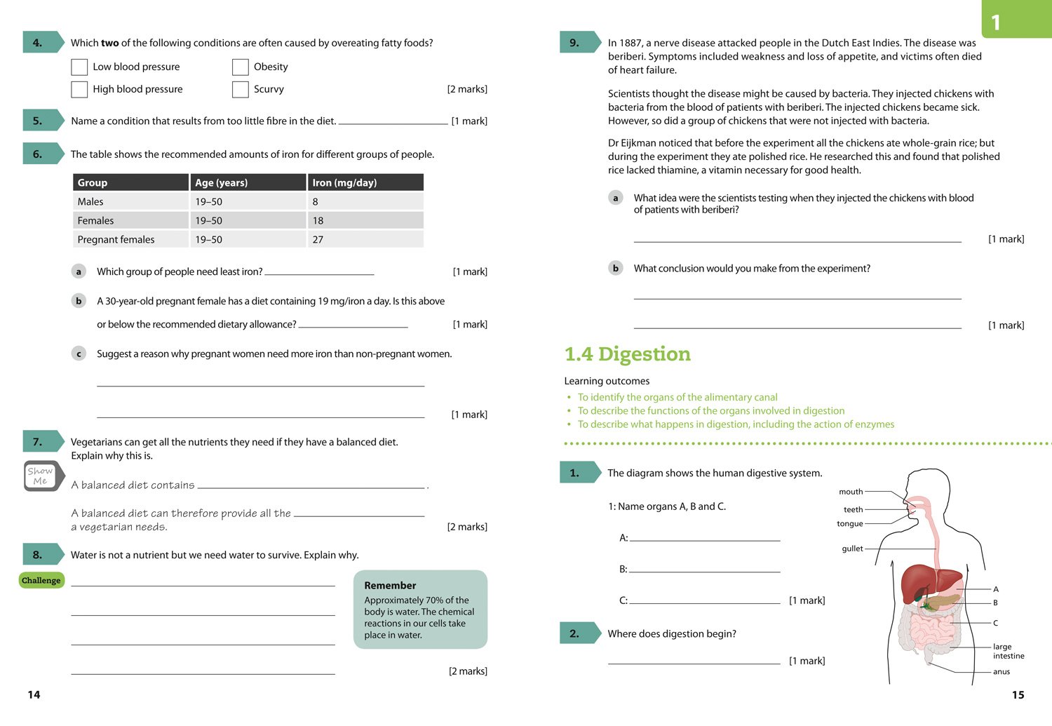 Lower Secondary Science Workbook: Stage 8 (Collins Cambridge Lower ...