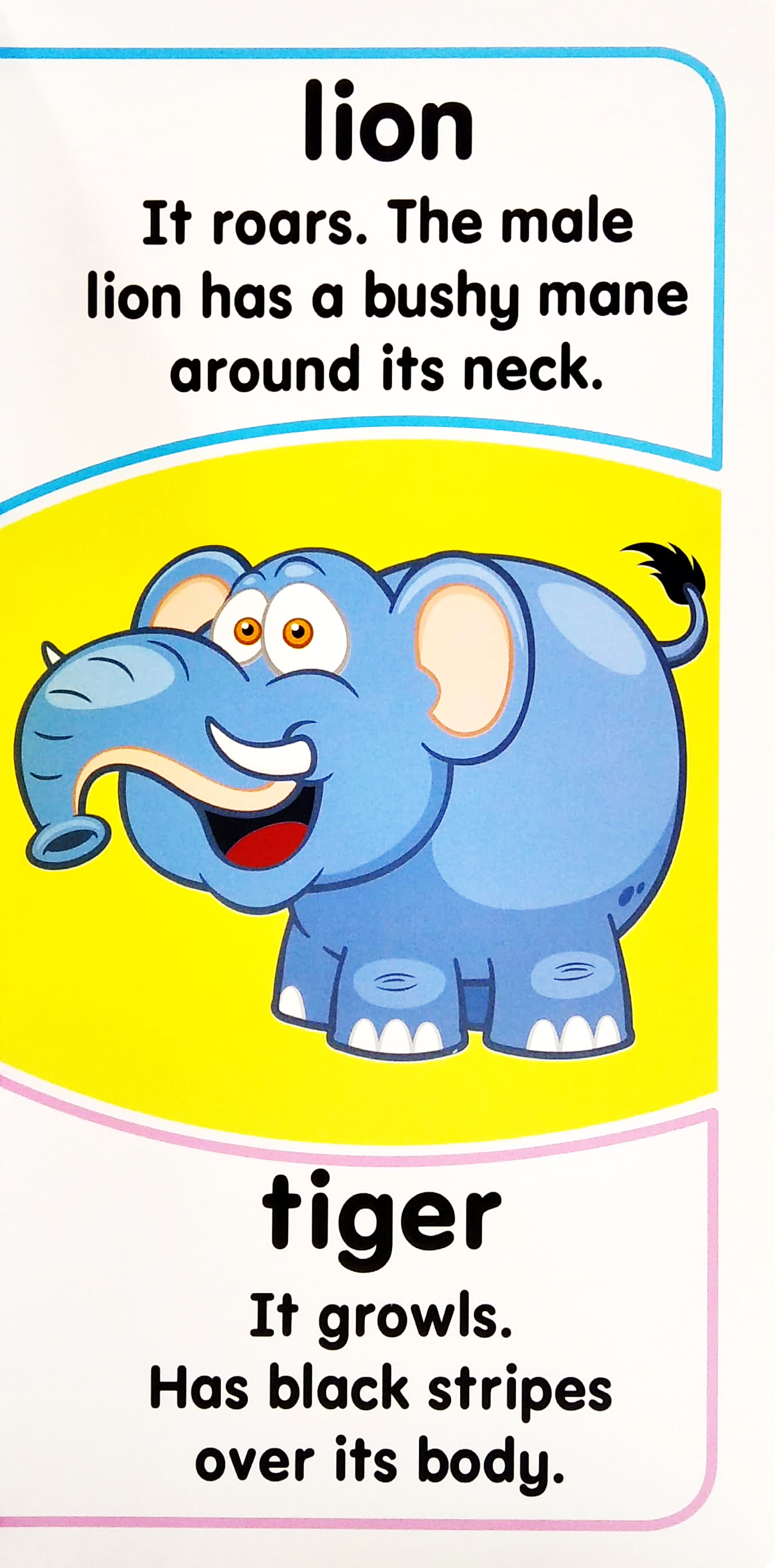 My Mini Giant: Animals Essential Facts Included - FAHASA.COM