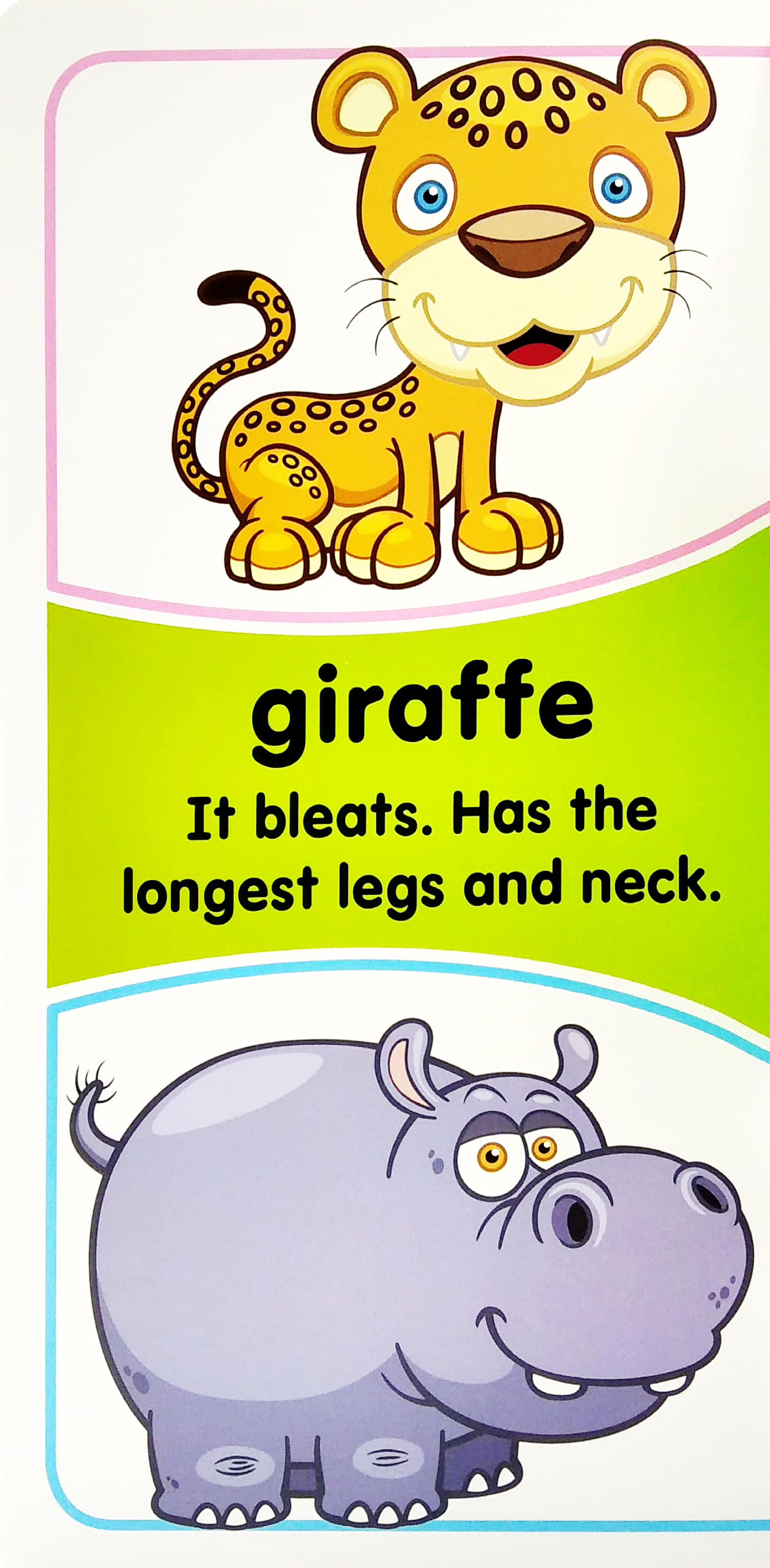 My Mini Giant: Animals Essential Facts Included - FAHASA.COM