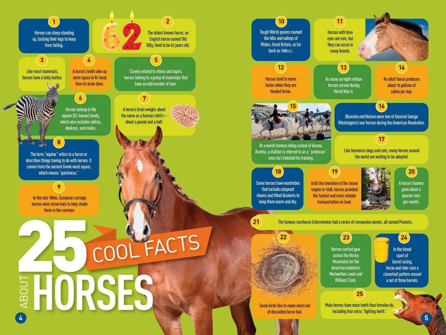 National Geographic Readers Level 3: Gallop! 100 Fun Facts About Horses ...