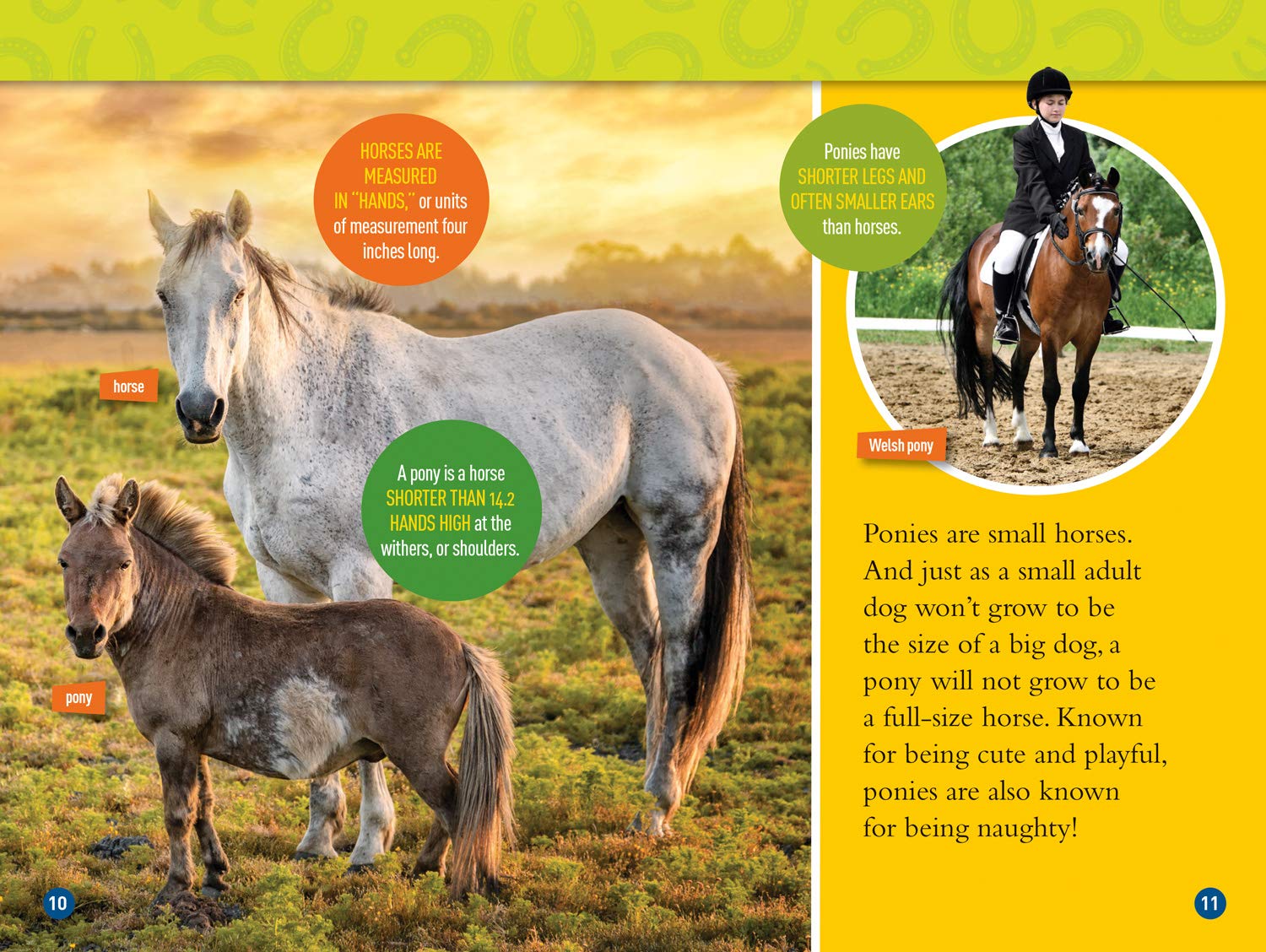 National Geographic Readers Level 3: Gallop! 100 Fun Facts About Horses ...