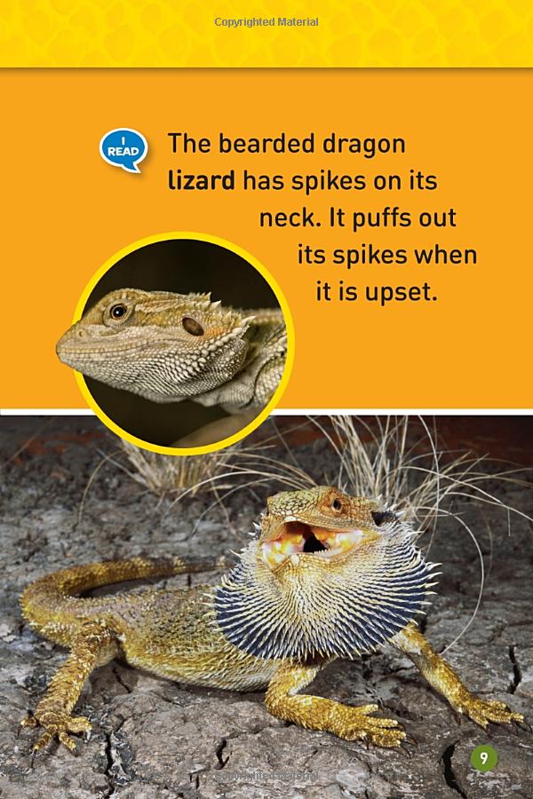 National Geographic Readers: Real Dragons! - FAHASA.COM