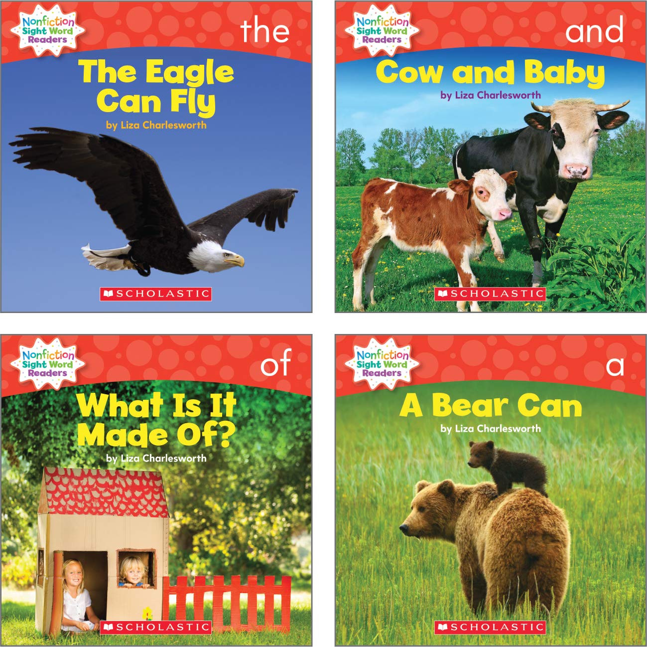 Nonfiction Sight Word Readers: Guided Reading Level A (Parent Pack ...