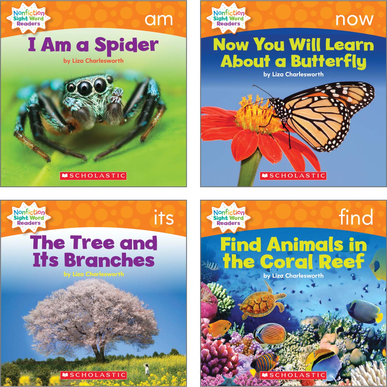 Nonfiction Sight Word Readers: Guided Reading Level D (Parent Pack ...