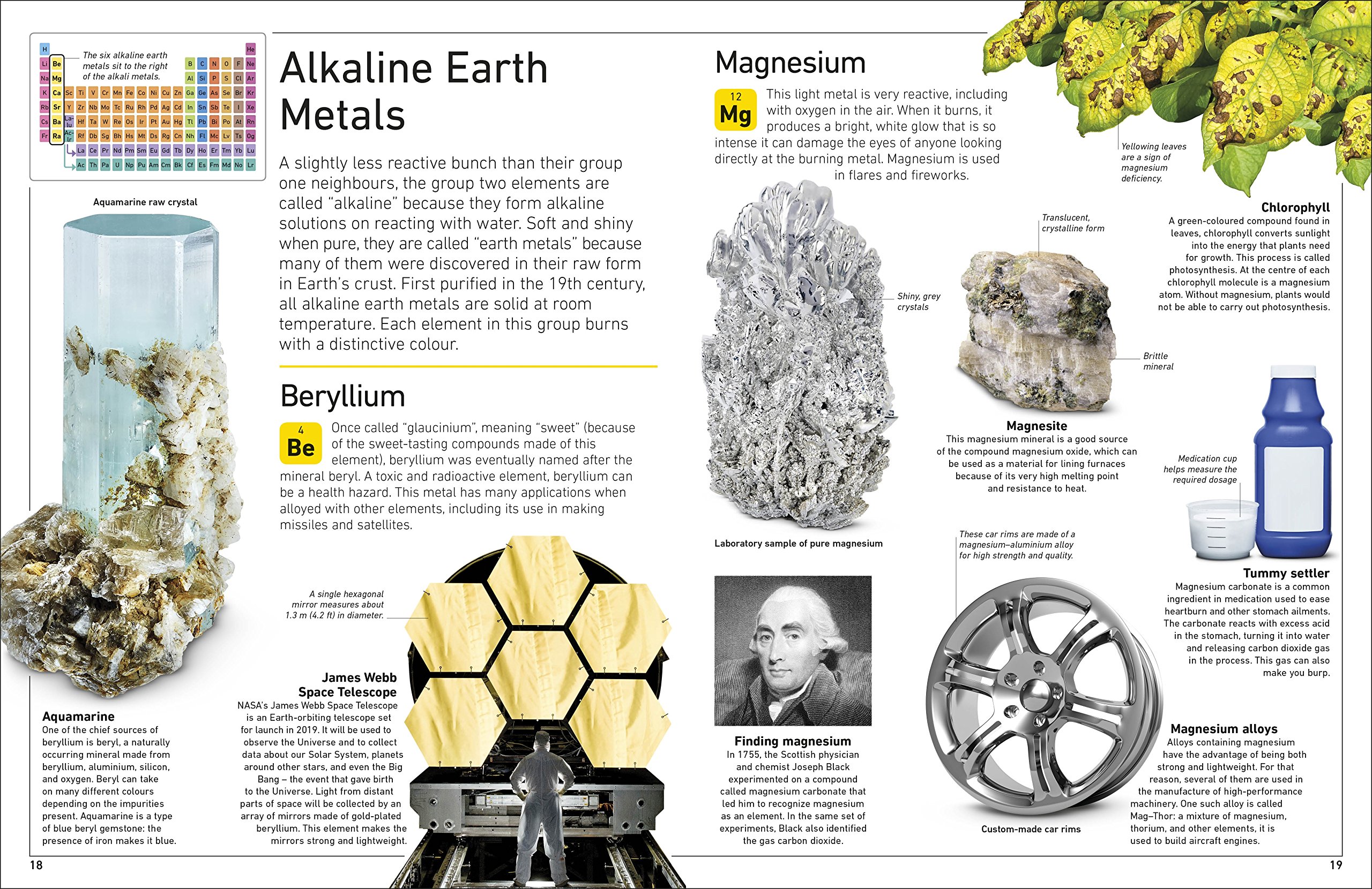 Periodic Table (DK Eyewitness) - FAHASA.COM