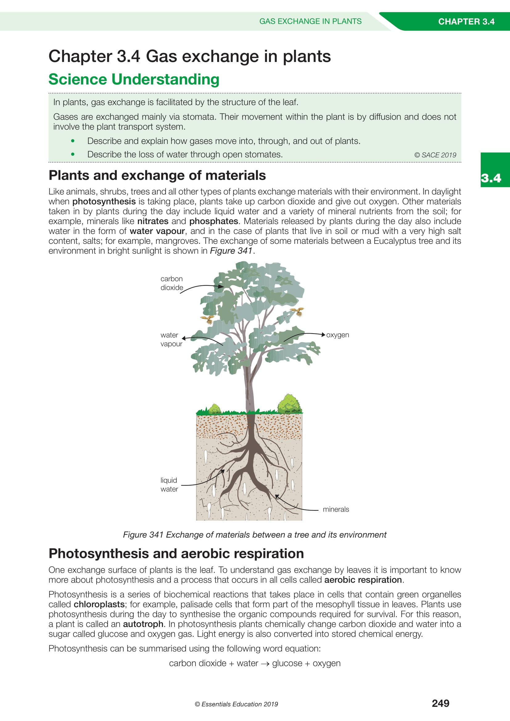 Sace 1 Biology Workbook - Australian Curriculum - 2nd Edition - FAHASA.COM