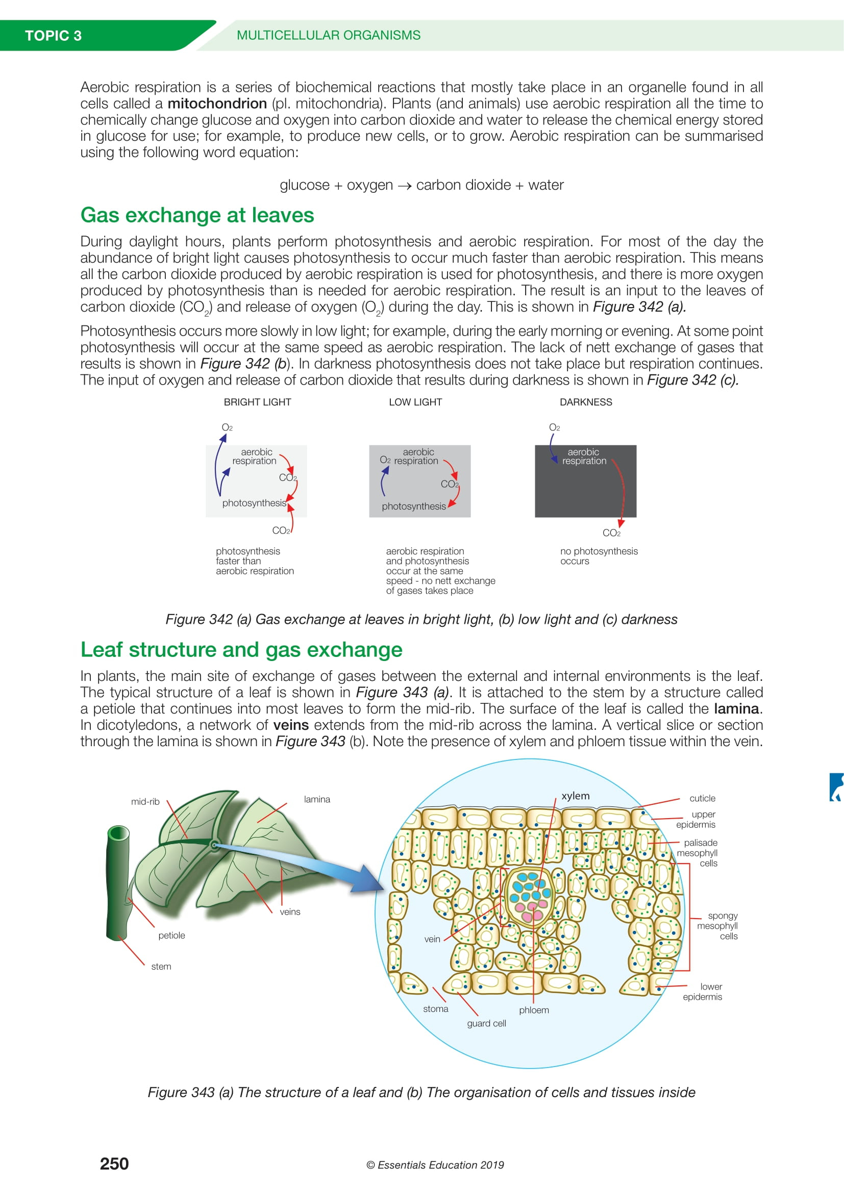 Sace 1 Biology Workbook - Australian Curriculum - 2nd Edition - FAHASA.COM