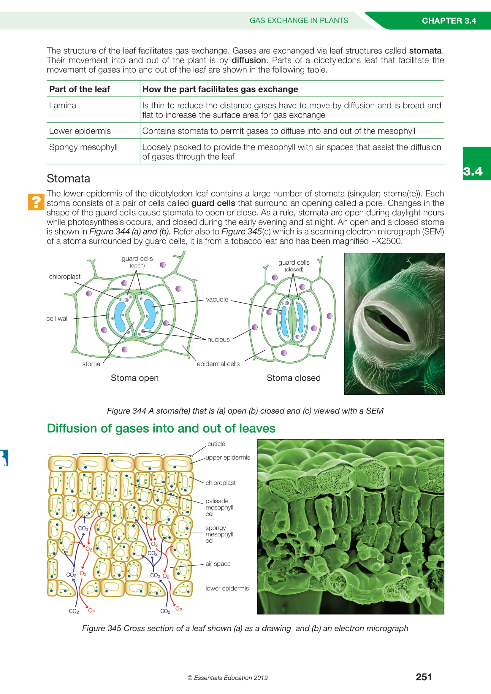 Sace 1 Biology Workbook - Australian Curriculum - 2nd Edition - FAHASA.COM