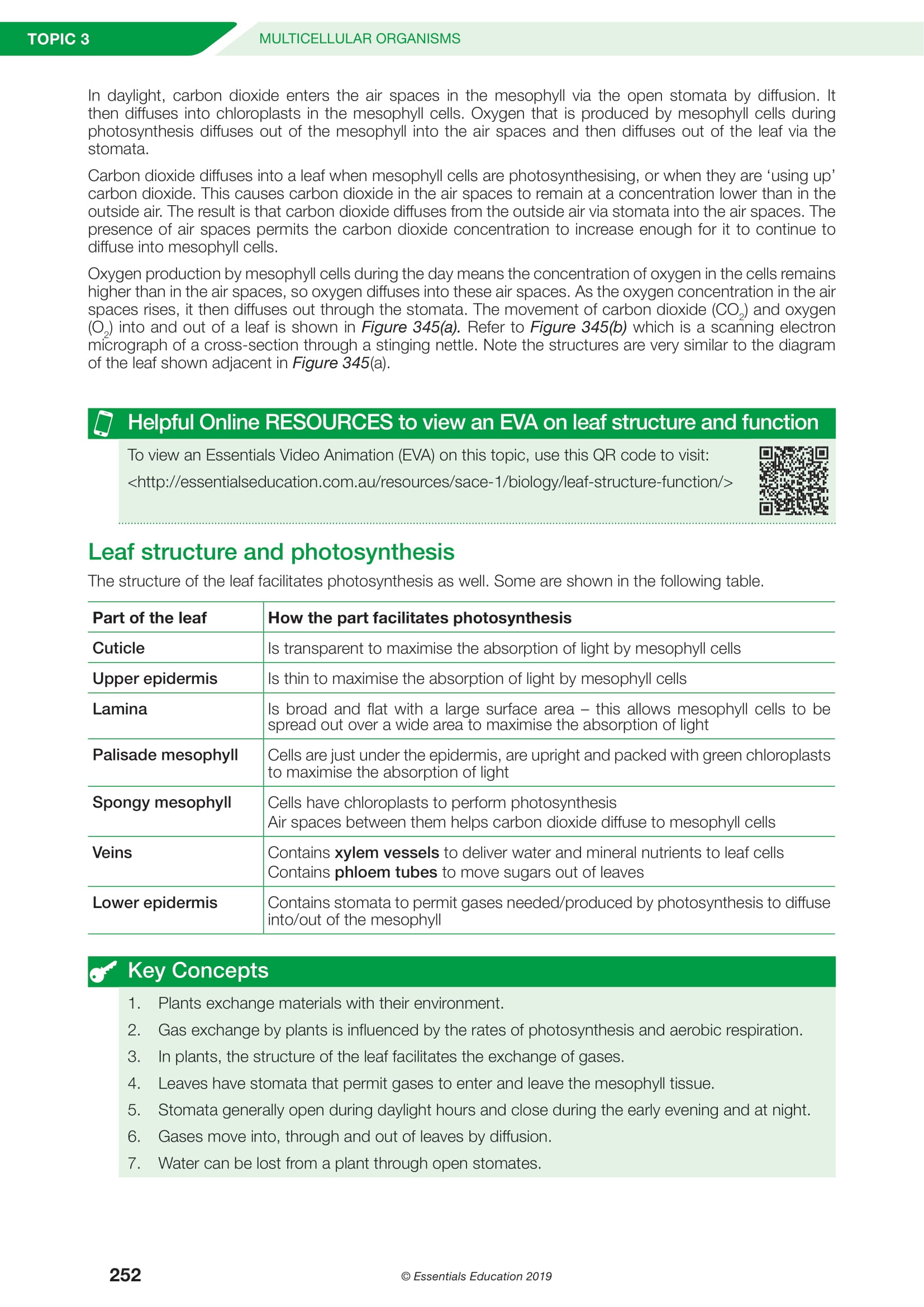 Sace 1 Biology Workbook - Australian Curriculum - 2nd Edition - FAHASA.COM