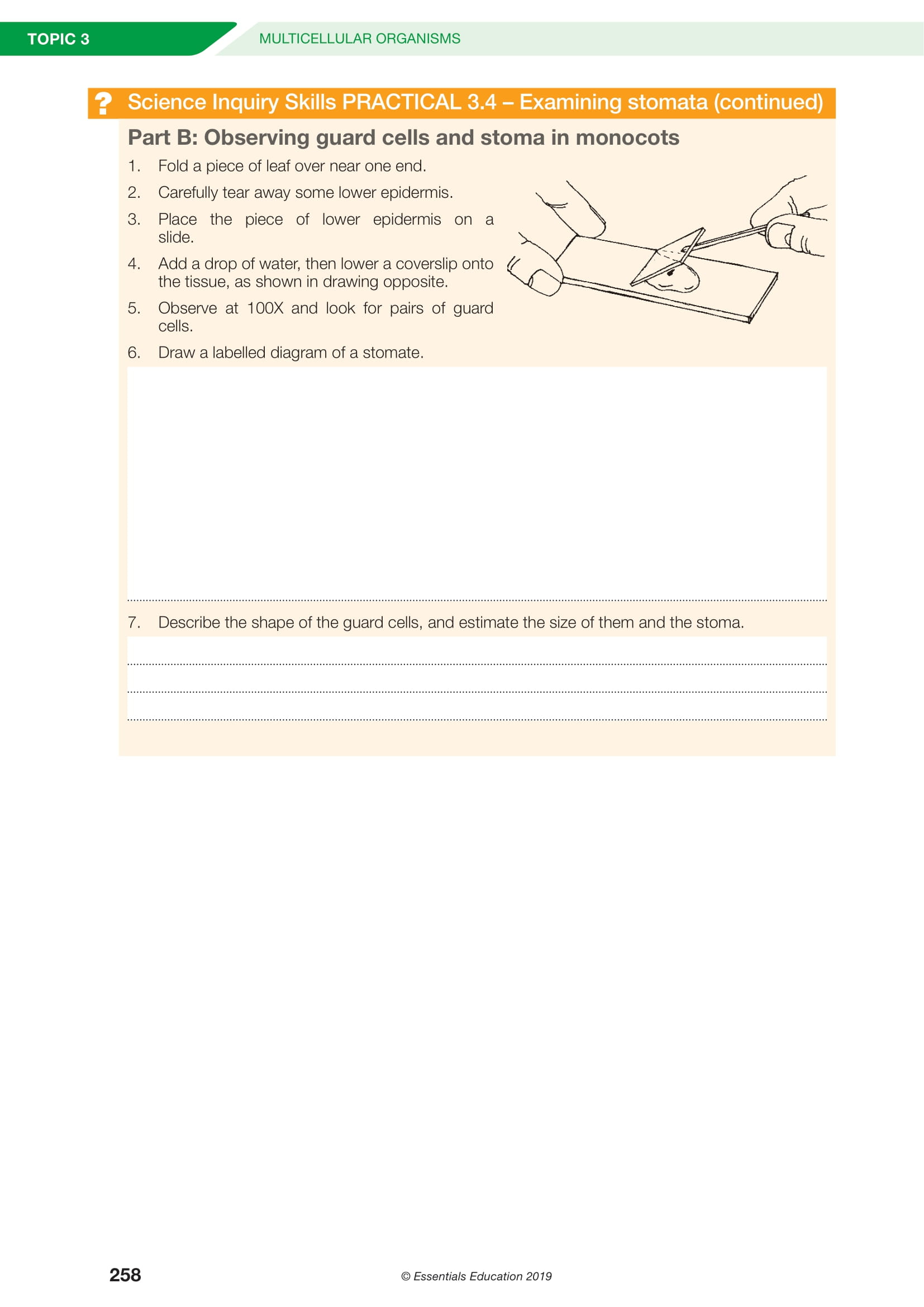 Sace 1 Biology Workbook - Australian Curriculum - 2nd Edition - FAHASA.COM