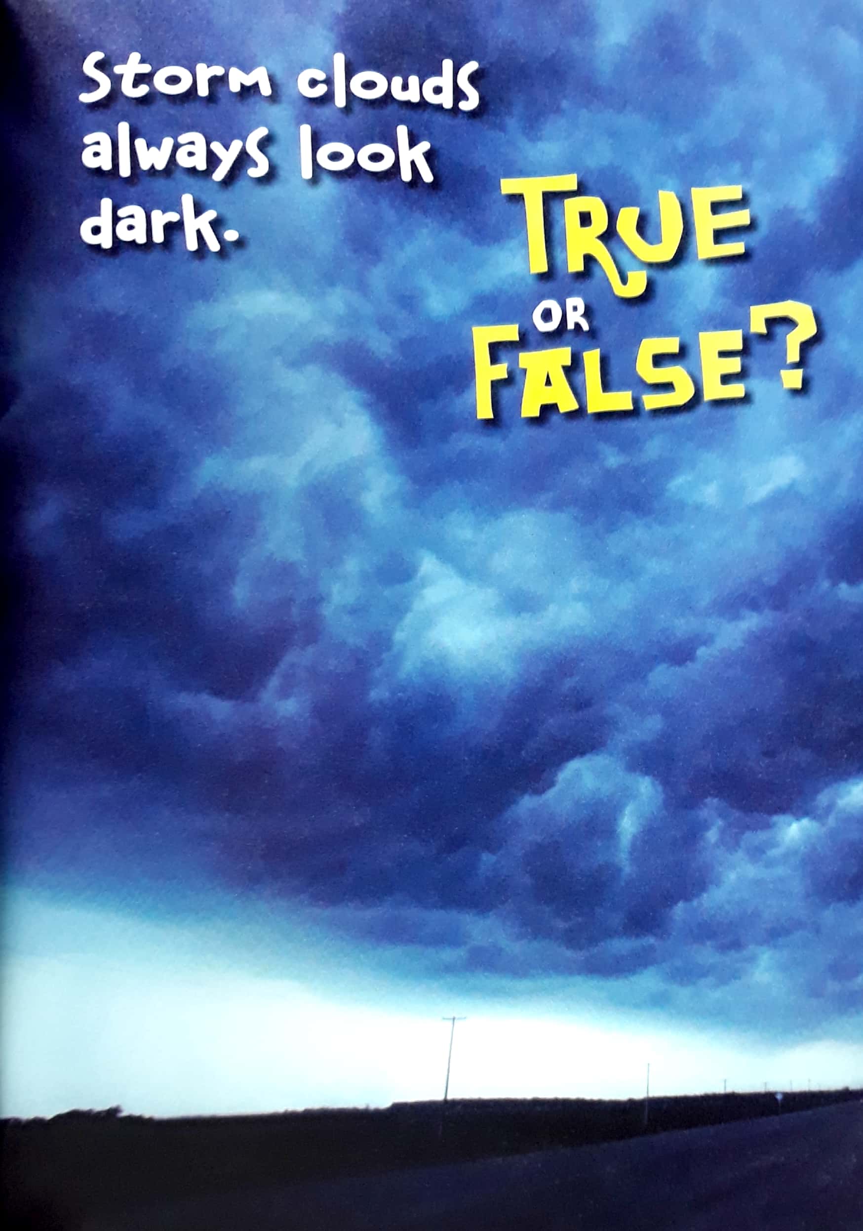 Scholastic True or False: Storms - FAHASA.COM
