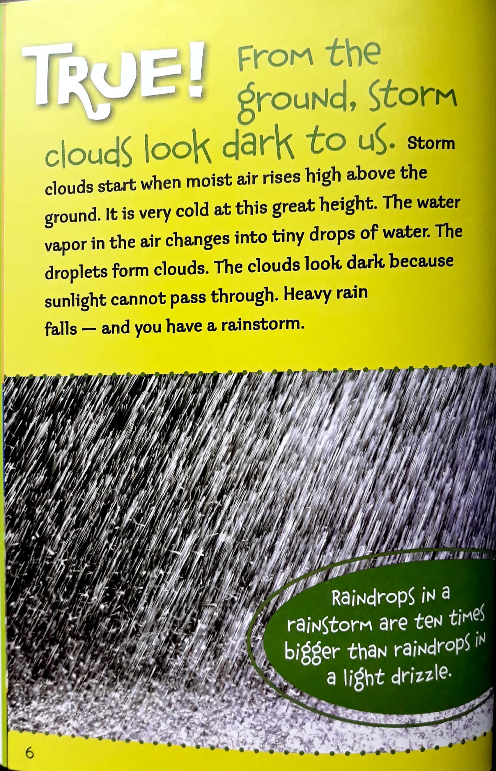 Scholastic True or False: Storms - FAHASA.COM