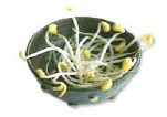 Sensational Starters - FAHASA.COM