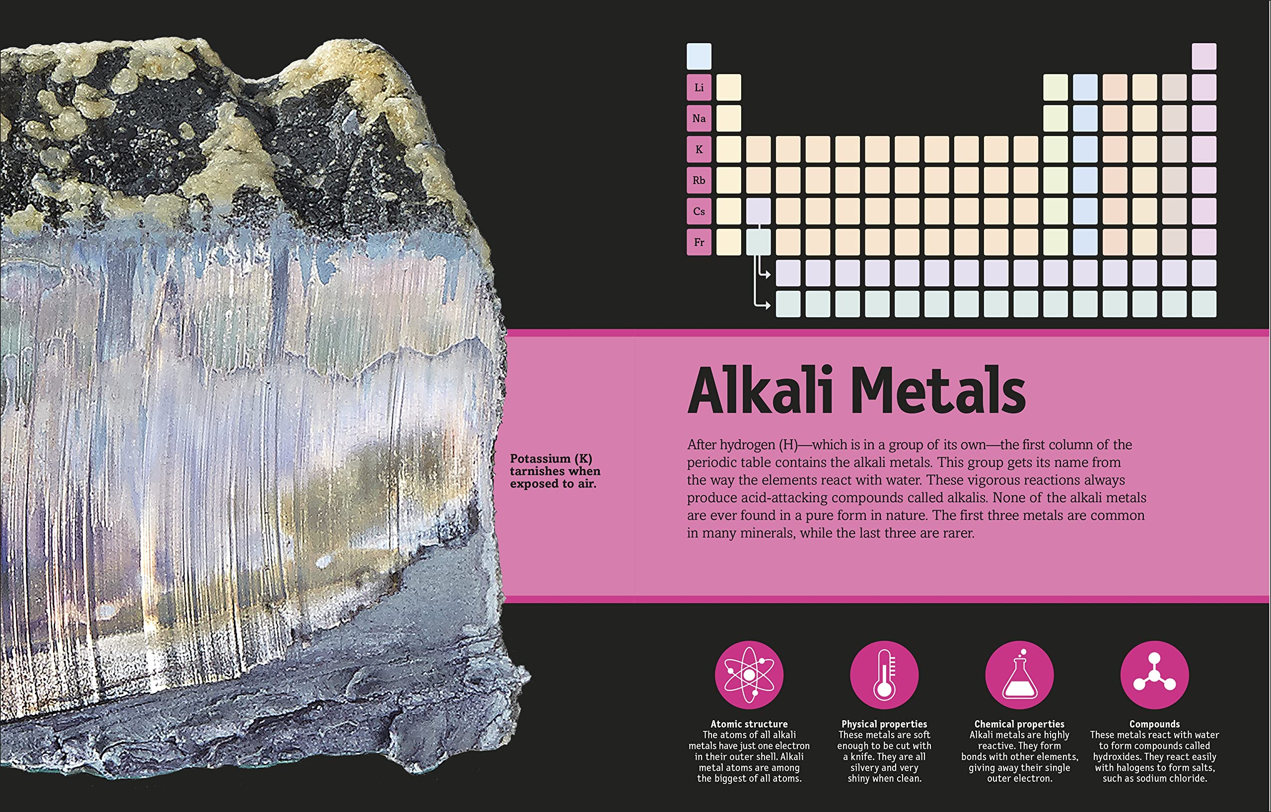 The Elements Book: A Visual Encyclopedia Of The Periodic Table (DK Our ...