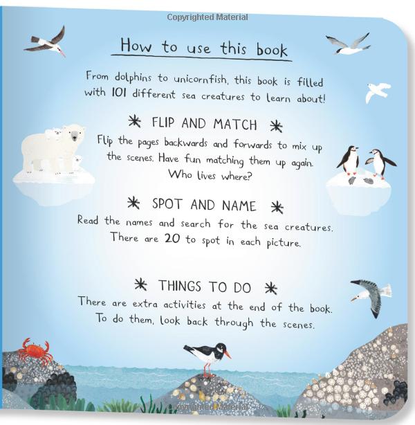 There Are 101 Sea Creatures In This Book - FAHASA.COM