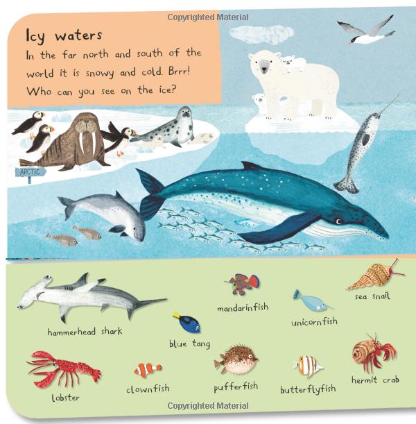 There Are 101 Sea Creatures In This Book - FAHASA.COM