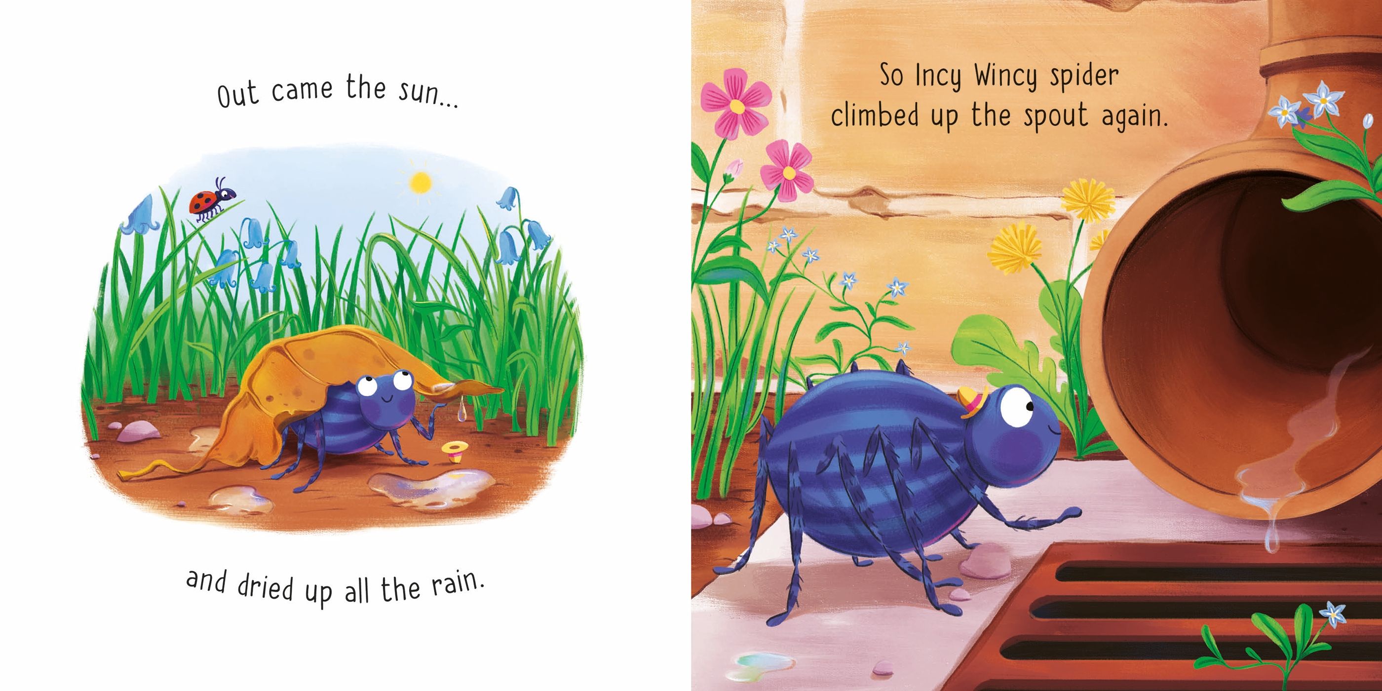 Usborne Little Board Books: Incy Wincy Spider - FAHASA.COM