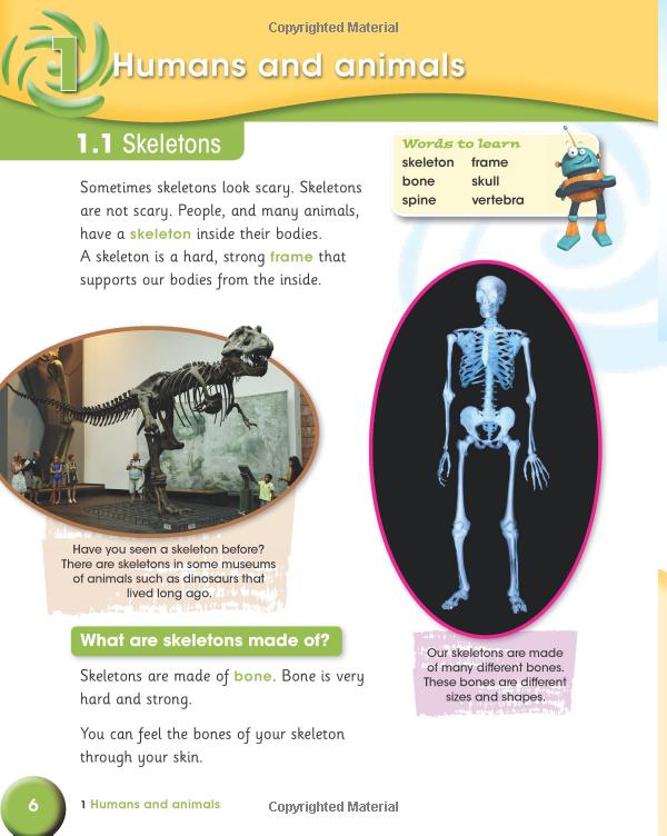 Cambridge Primary Science Stage 4 Learner's Book: Stage 4 - FAHASA.COM