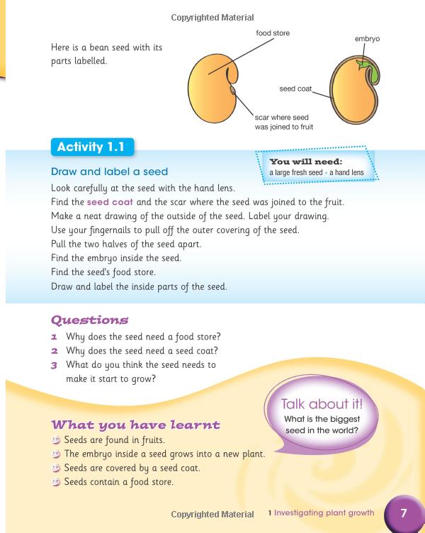 Cambridge Primary Science Stage 5 Learner's Book: Stage 5 - FAHASA.COM