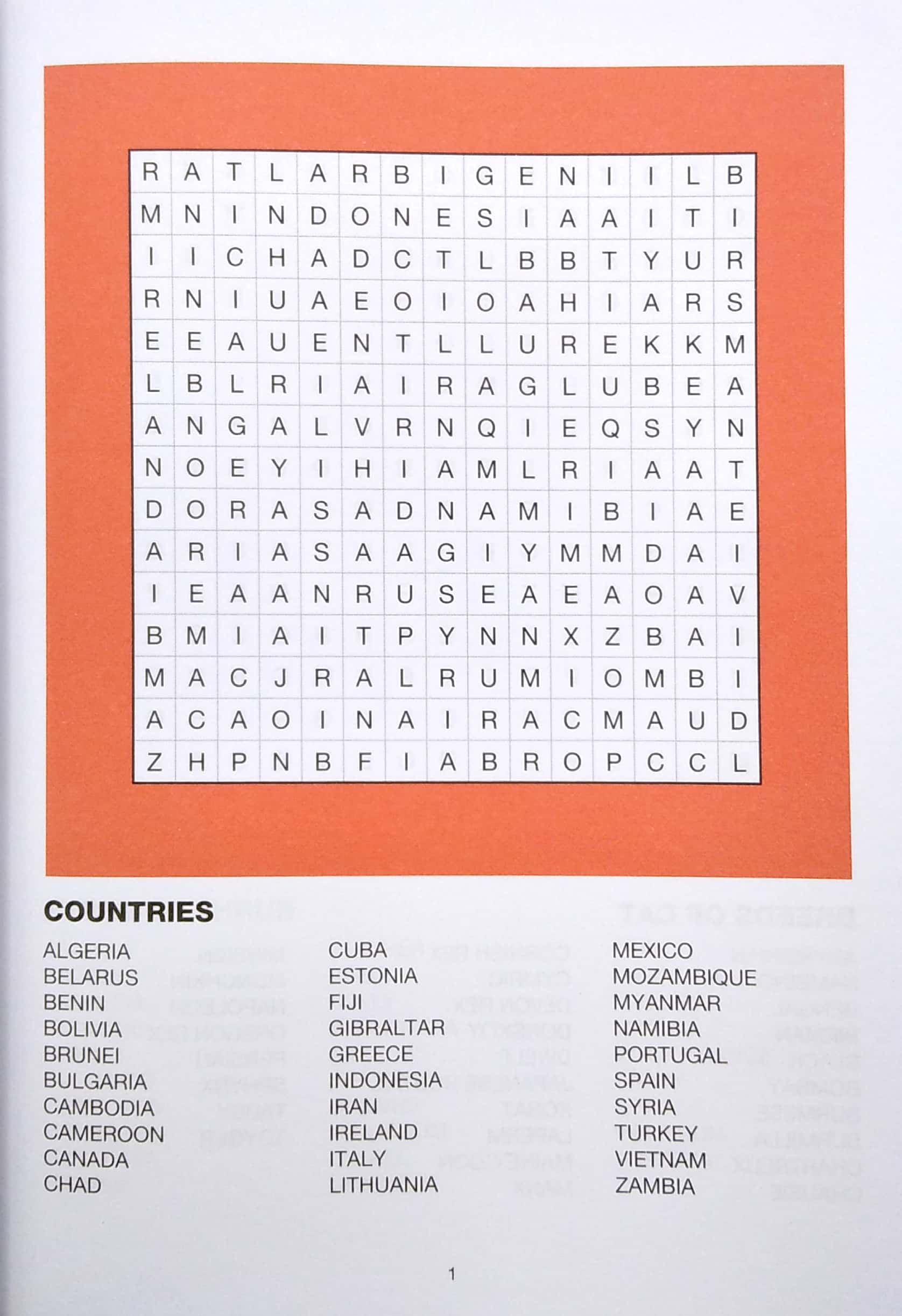 Colour Block Puzzle - Wordsearch (Coral) - FAHASA.COM