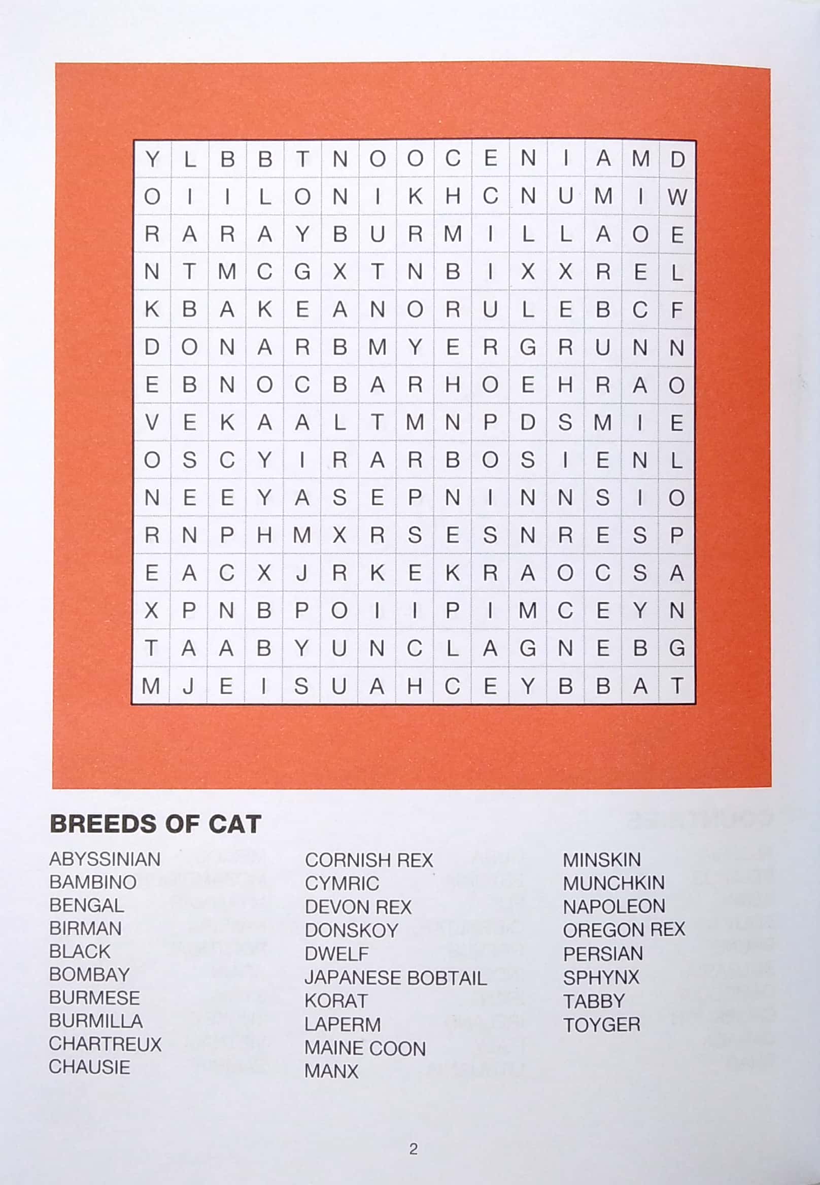 Colour Block Puzzle - Wordsearch (Coral) - FAHASA.COM