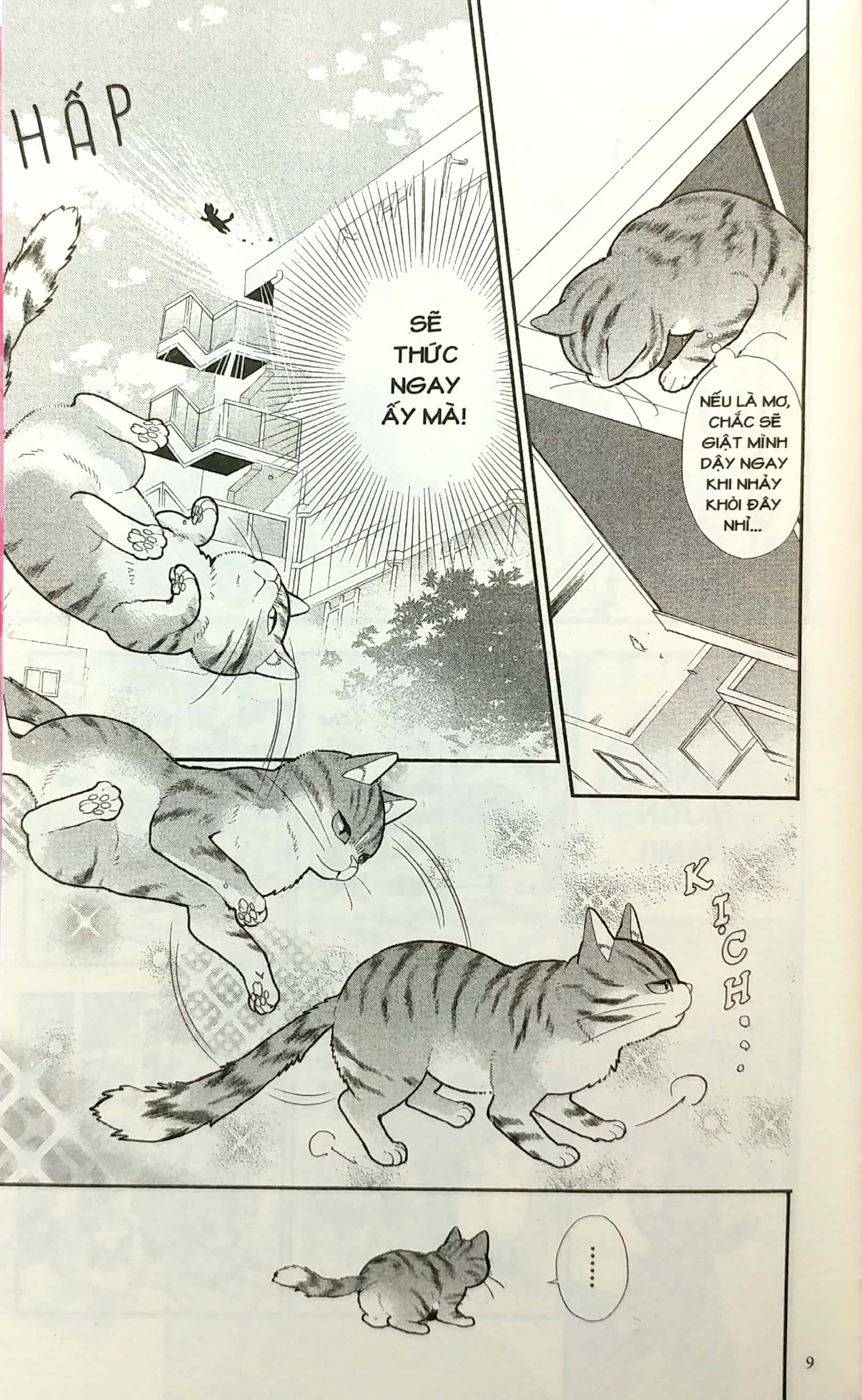 Truyện Tranh Hế Lô Nyao - Chuyện Về Chú Mèo Chuyên Hóng Hớt - Tập 1 ...