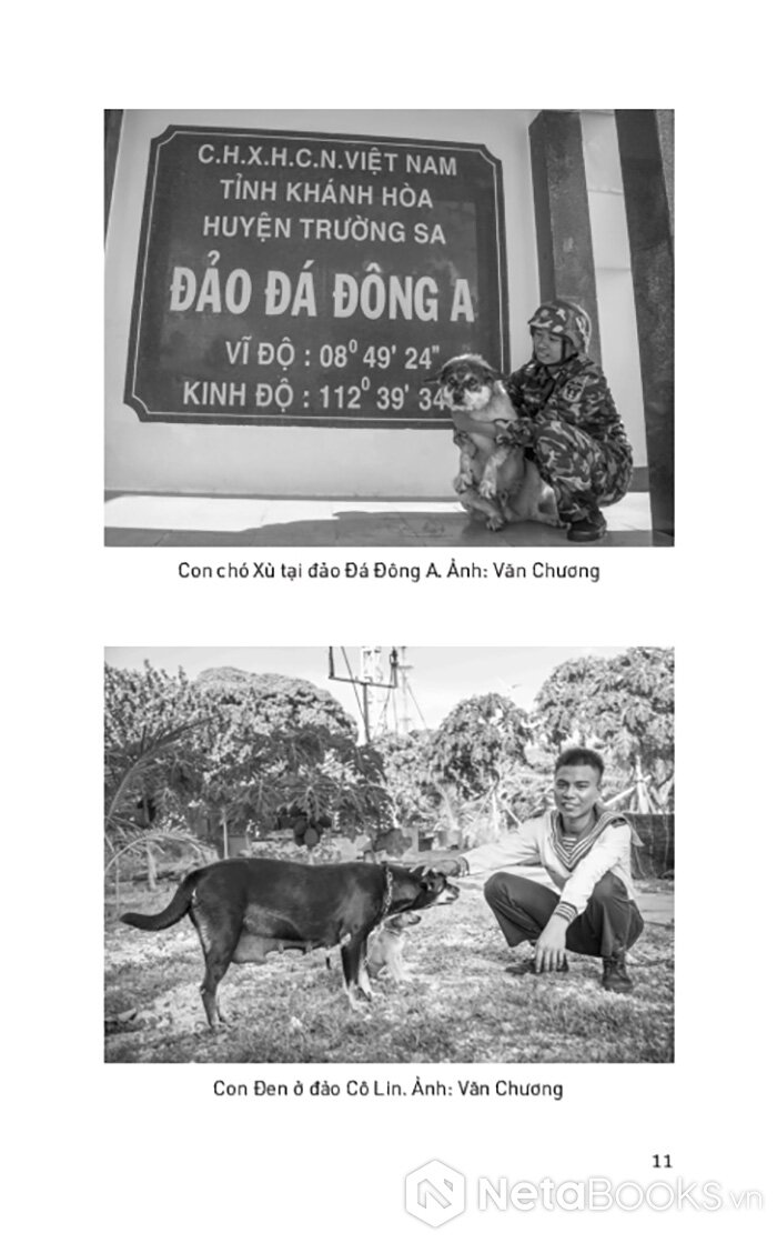 Kể Chuyện Biển Đảo - Một Chuyến Du Hành Ra Trường Sa Và Nhà Giàn DK1 PDF - YDS.EDU.VN