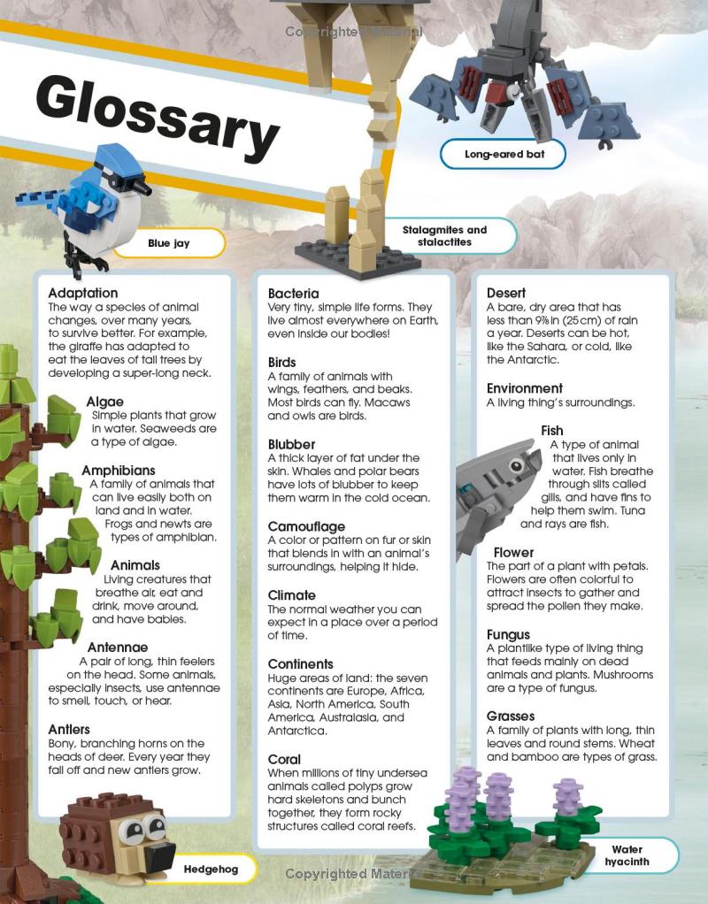 LEGO Super Nature: Includes Four Exclusive LEGO Mini Models - FAHASA.COM