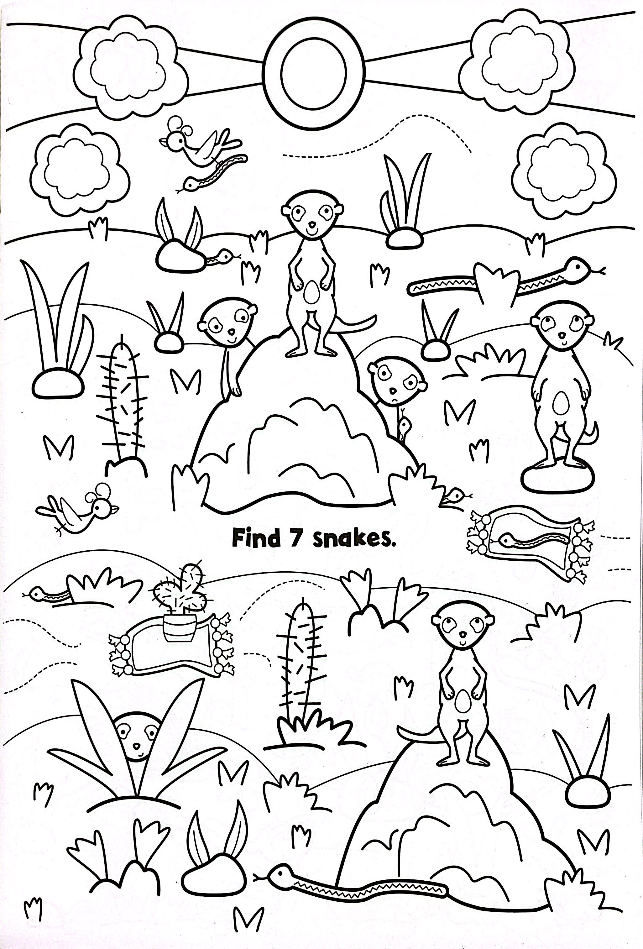 Look, Find And Colour! - Wild Animals - Colouring Activity Book ...