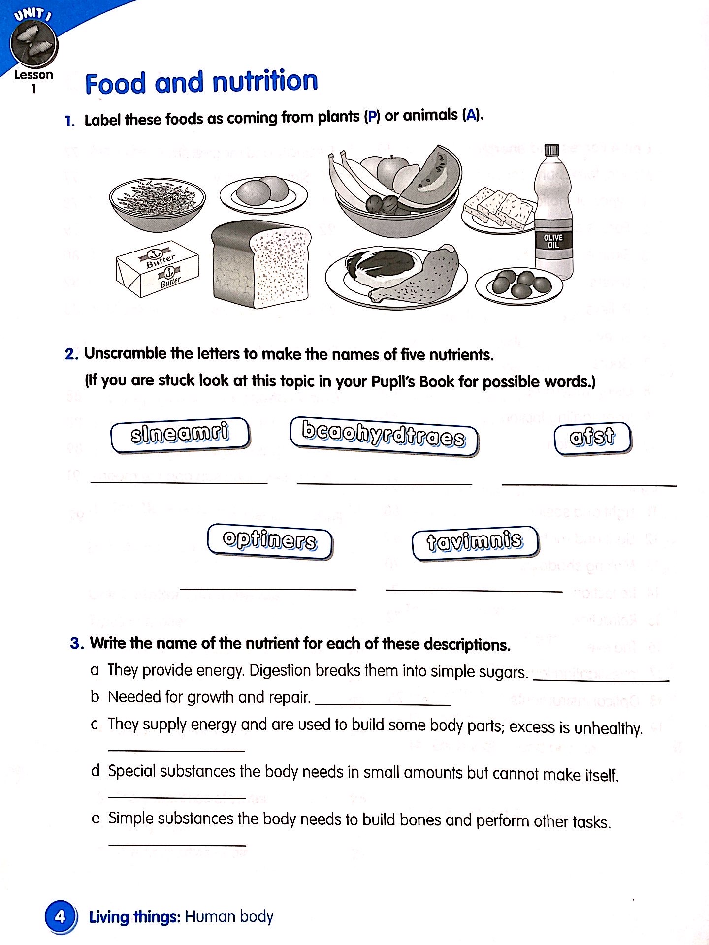 Macmillan Science 5: Workbook - FAHASA.COM
