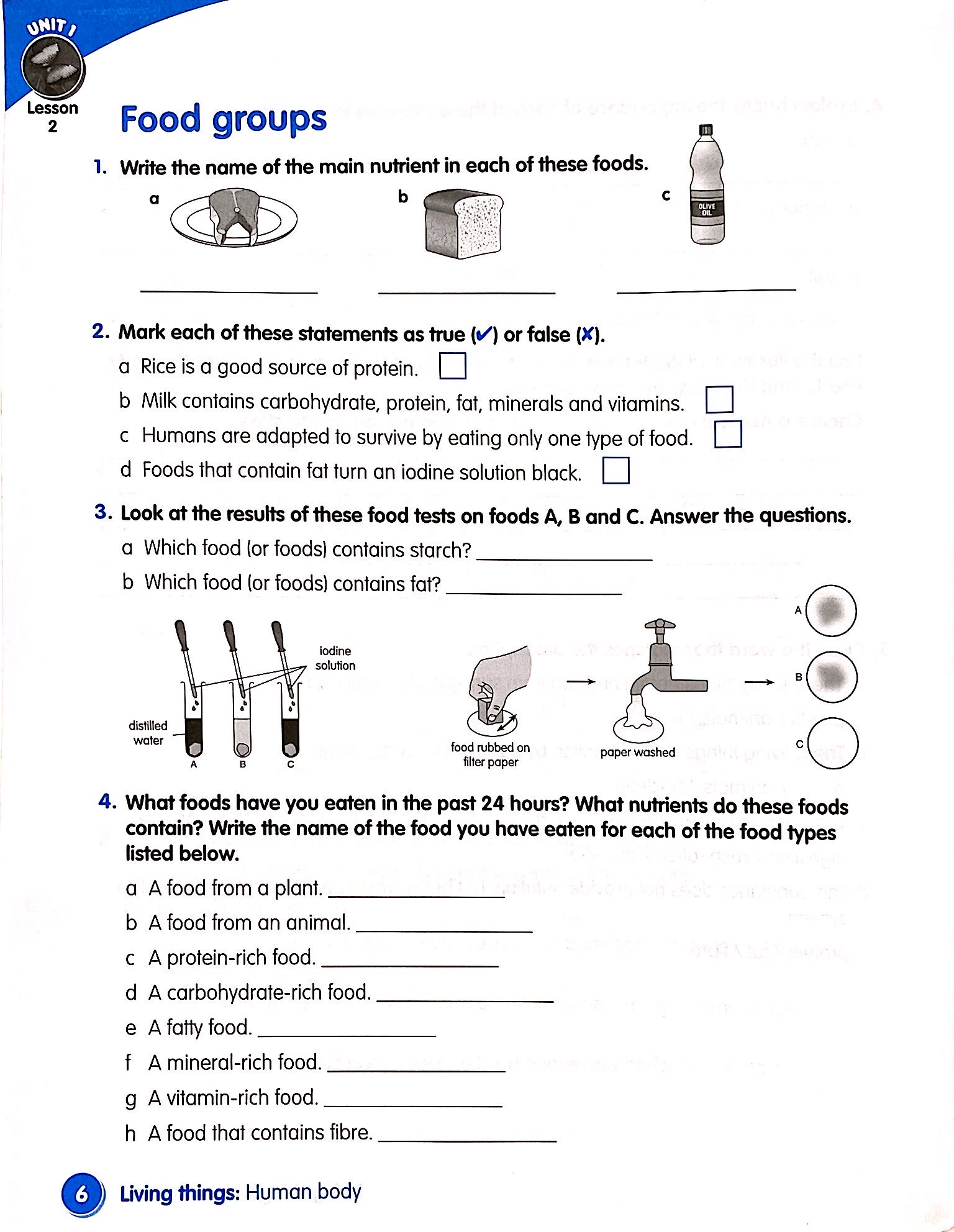 Macmillan Science 5: Workbook - FAHASA.COM